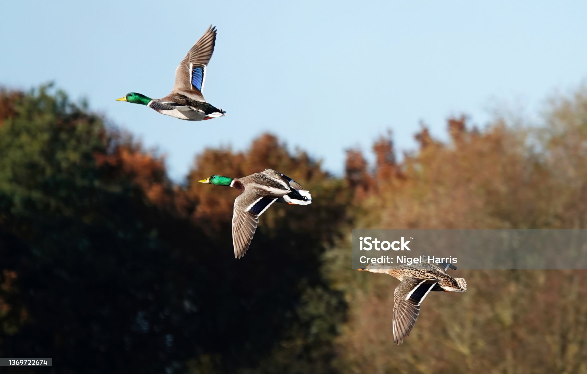 Outdoor Experiences - Project Savior Outdoors